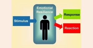 Situation Reaction Test Examples With Sample Answers #1