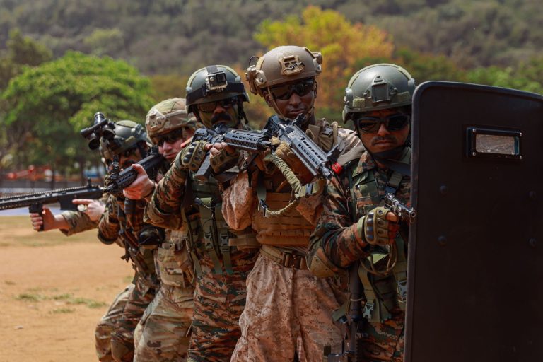 What is the Difference Between Cavalry, Artillery and Infantry?