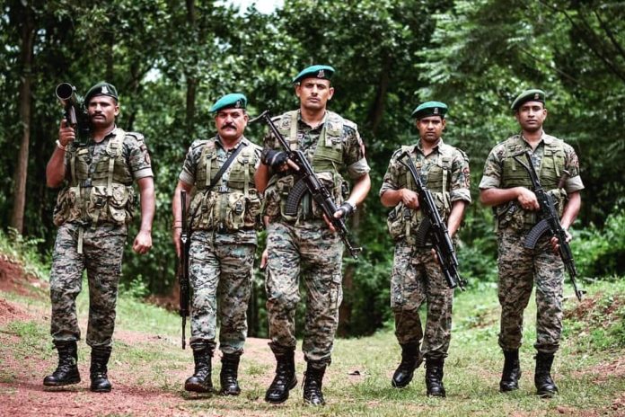Commando Battalion for Resolute Action (COBRA)