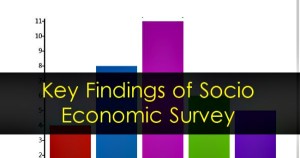 Key Findings of Socio Economic Survey