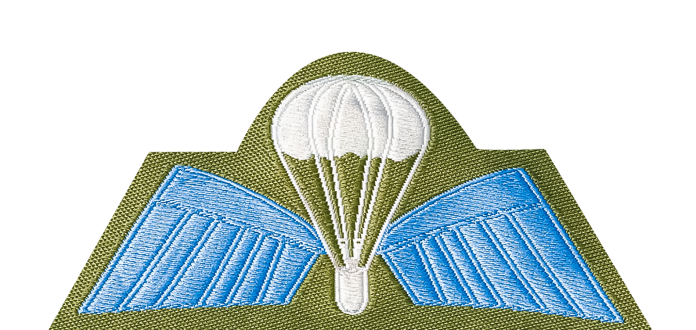 What is PARAWING and How To Earn It?