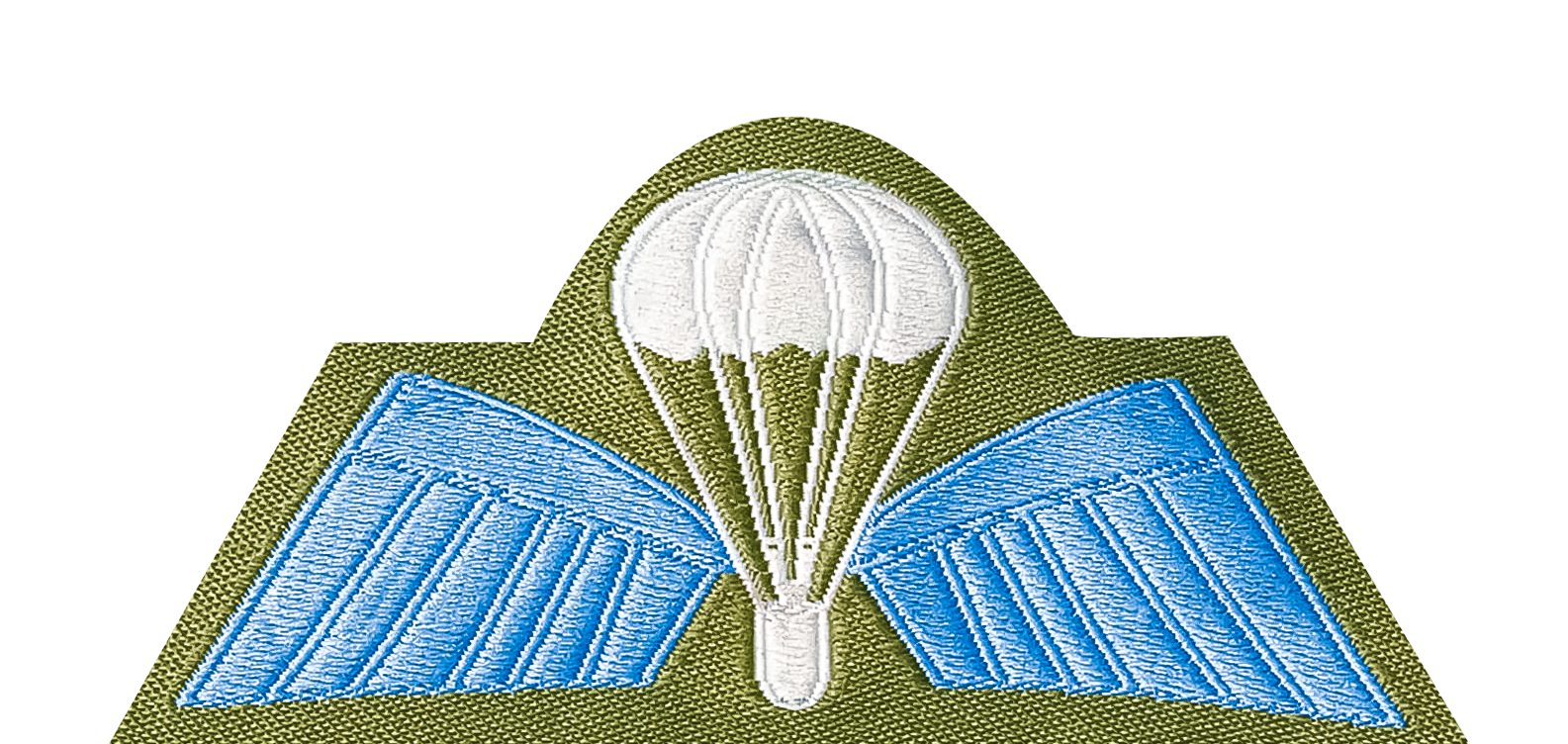 What is PARAWING and How To Earn It?