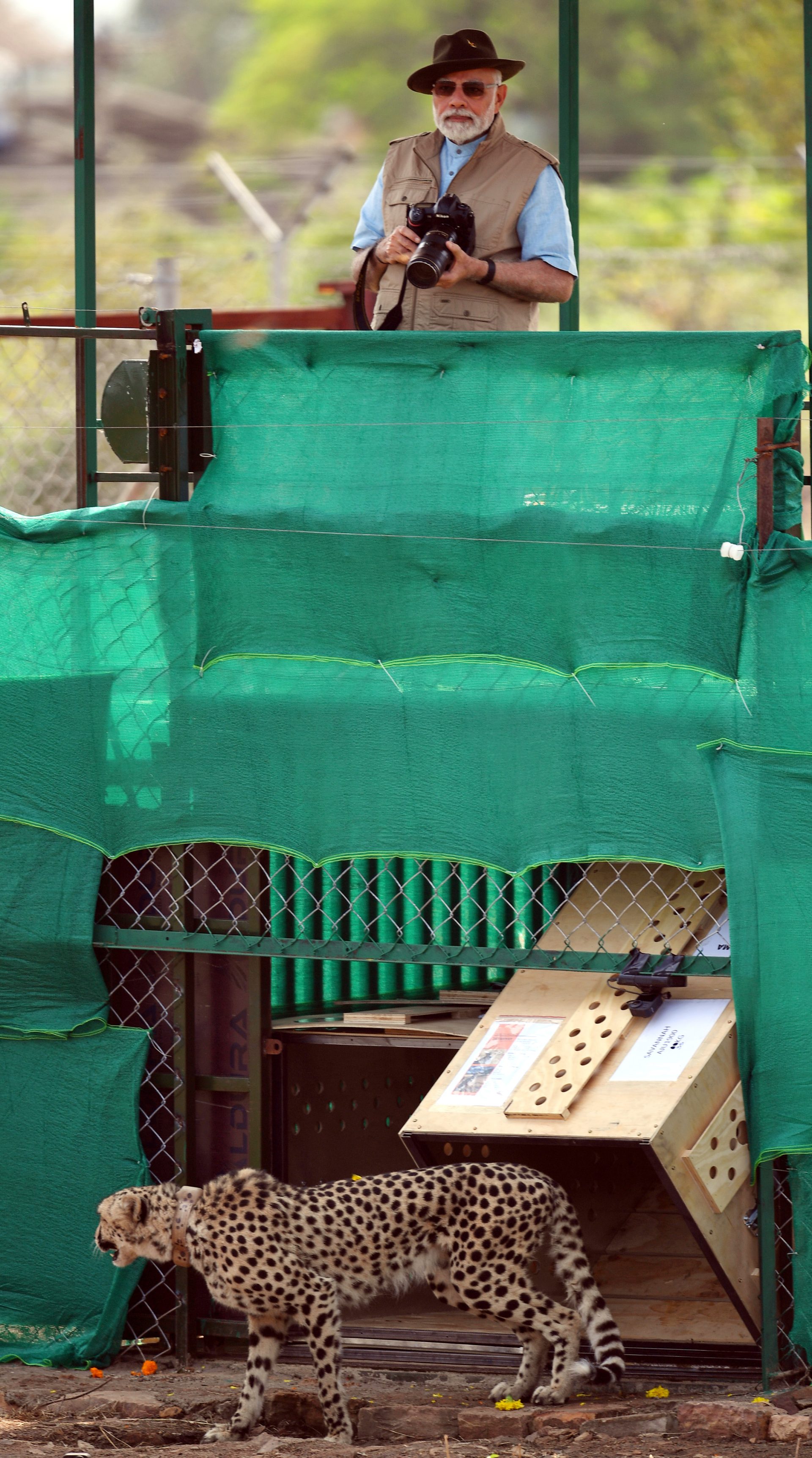 All About Project Cheetah for SSB Interview Questions