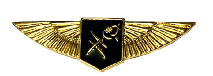 Decoding The Badges of a PARA SF Commando