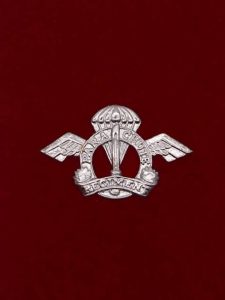 Decoding The Badges of a PARA SF Commando