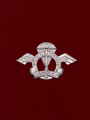 Decoding The Badges of a PARA SF Commando