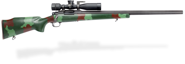 11 Best Sniper Rifles in the World
