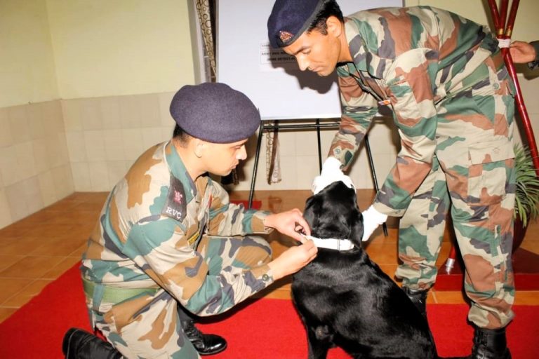 Remount Veterinary Corps Notification 2024 Indian Army