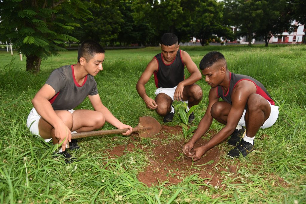 Officer Cadets at OTA Chennai Join Indian Army's Tree Plantation Drive
