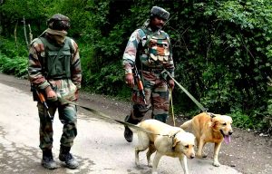 5 Fascinating Facts About Indian Army Dogs