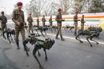 Meet ‘Sanjay’ Indian Army’s Robotic Dog